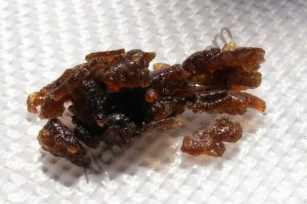 Benefits of Concentrates